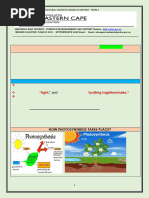 GRADE 7 BIOLOGY 2023-24 TEXTBOOK Edited | PDF | Photosynthesis | Plants