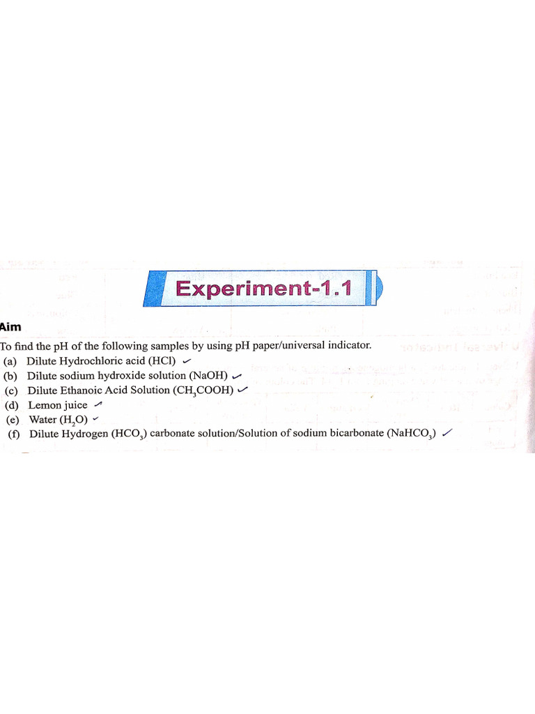 Class 10 Experiment File (Chemistry) | PDF