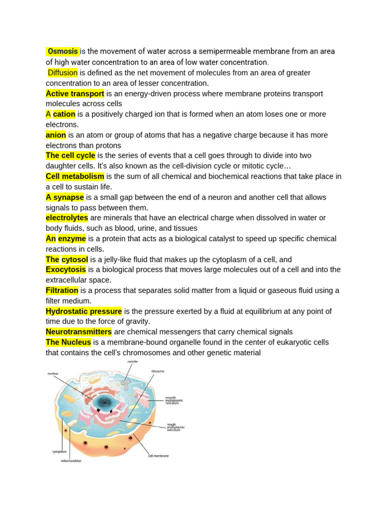 Osmosis Is The Movement of Water Across A Semipermeable Membrane From ...