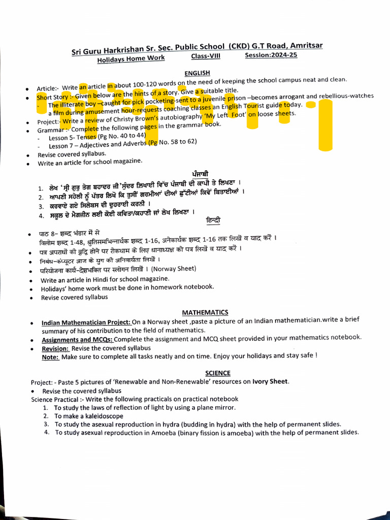 Class 8 (Holidays Homework) | PDF | Grammar | Linguistics