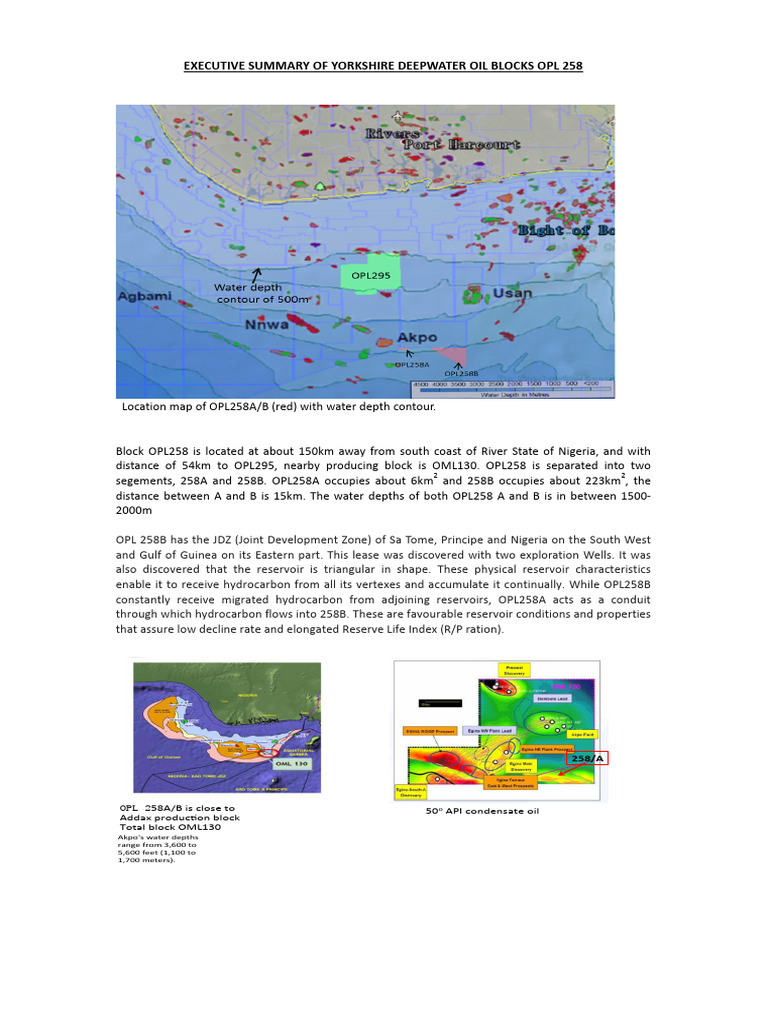 OPL 258 Executive Summary | PDF | Petroleum Reservoir | Fuel Production