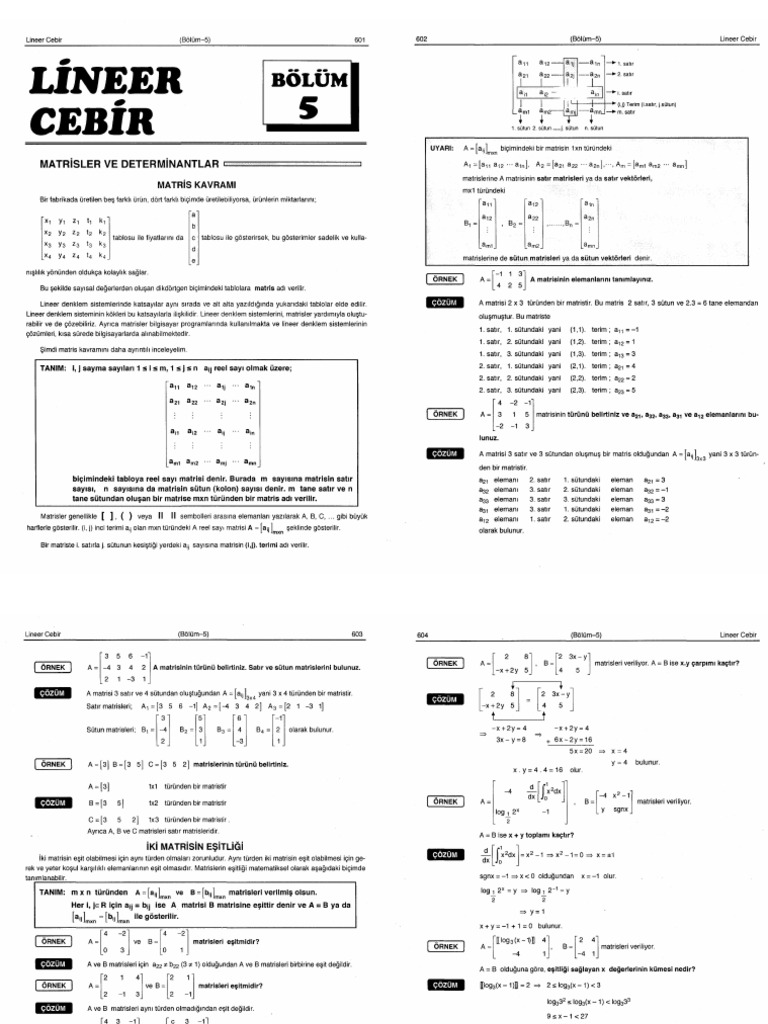 Lineer Cebir Zafer | PDF