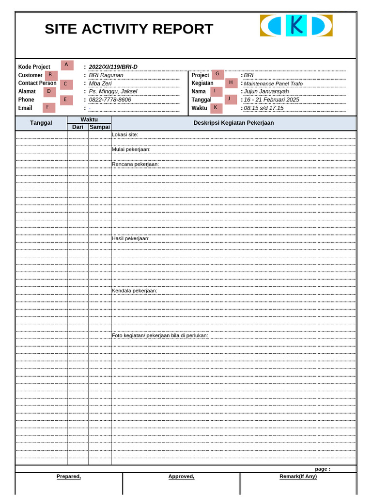 Site Activity Report (SAR) LOREAL | PDF