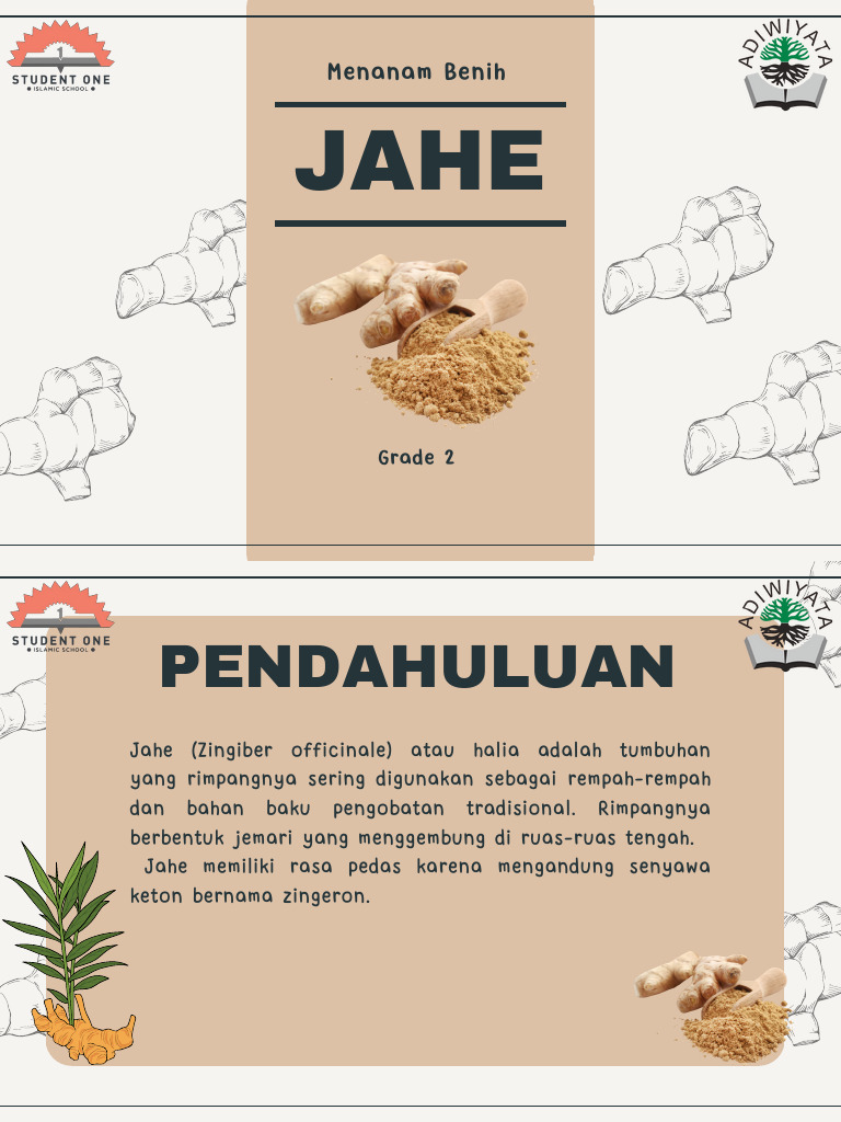 Grade 2 - Menanam Rimpang Jahe | PDF