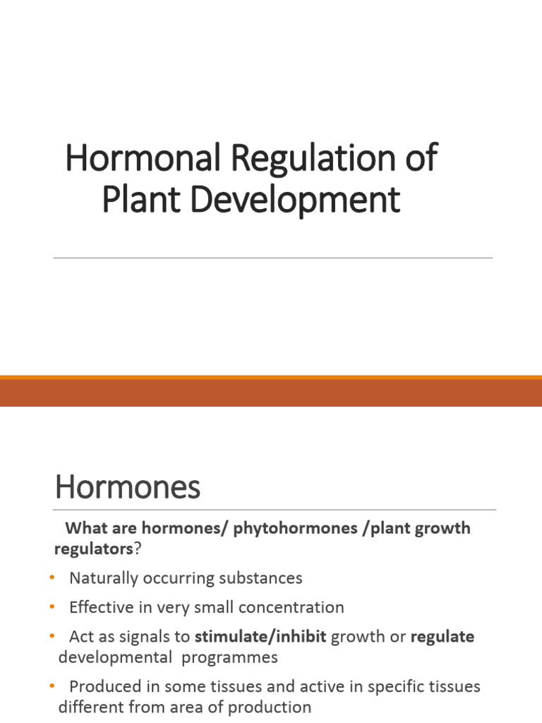 Hormonal Regulation Plant Devel. 2025 | PDF | Plant Hormone | Auxin