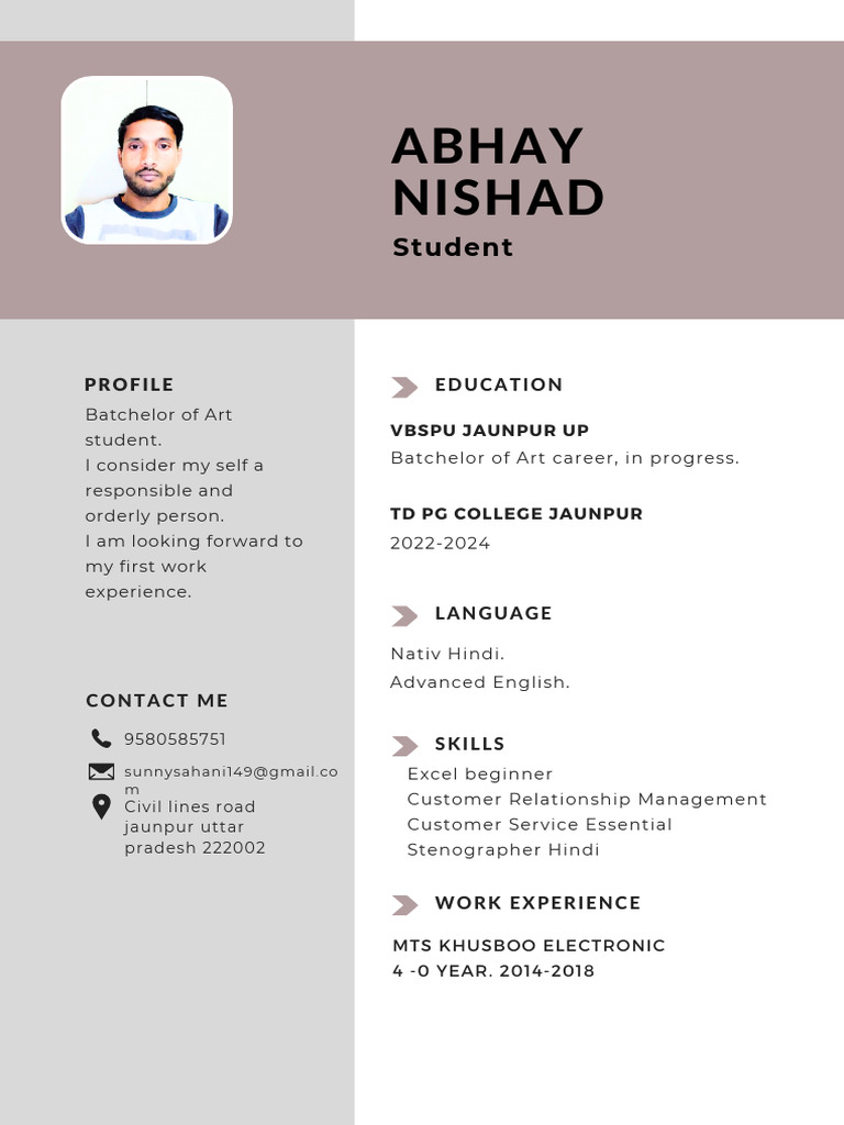 Abhay CV Resume | PDF