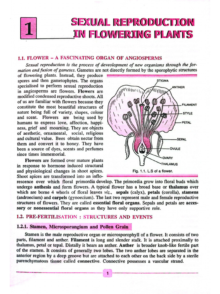 Ch 1. Sexual Reproduction in Flowering Plants Trueman Elementary | PDF