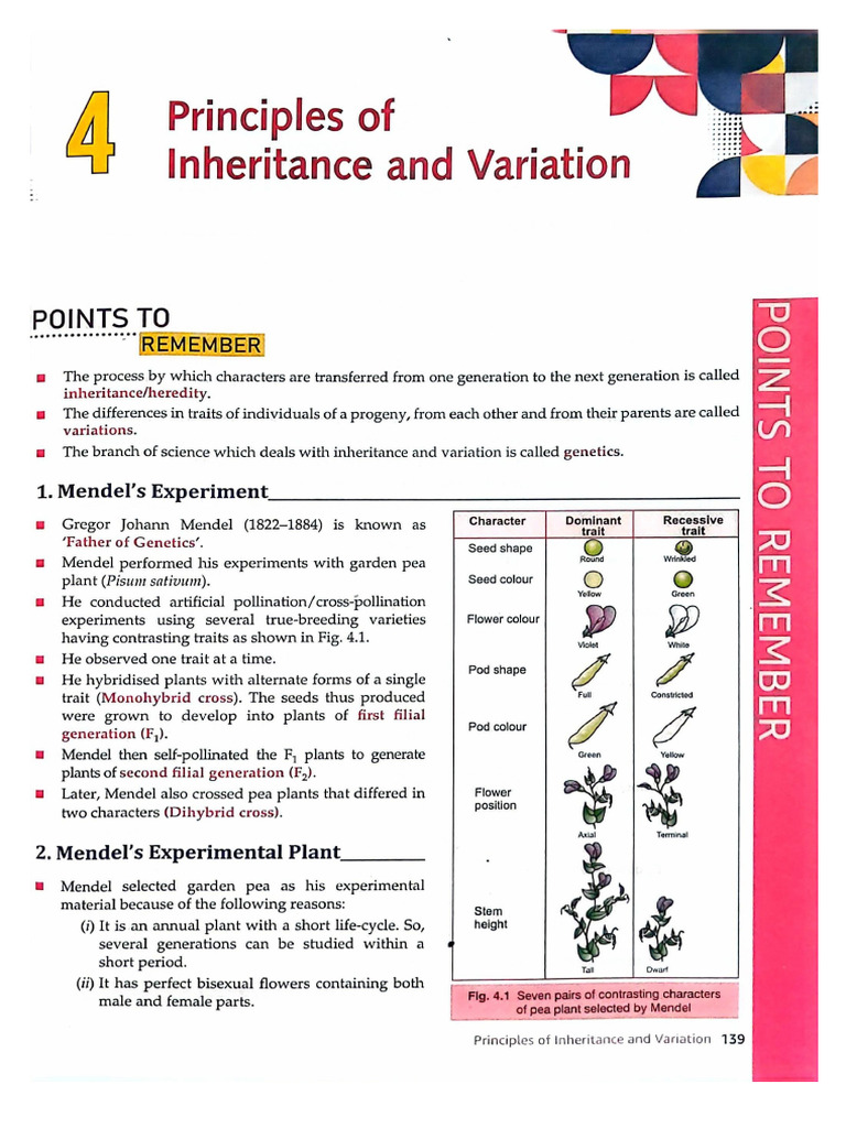 Ch. 4 Principles of Inheritance and Variation Exam Idea Dr. JPS | PDF | Dominance (Genetics ...