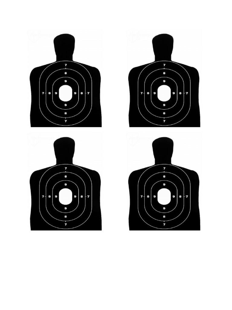 Paper Targets | PDF
