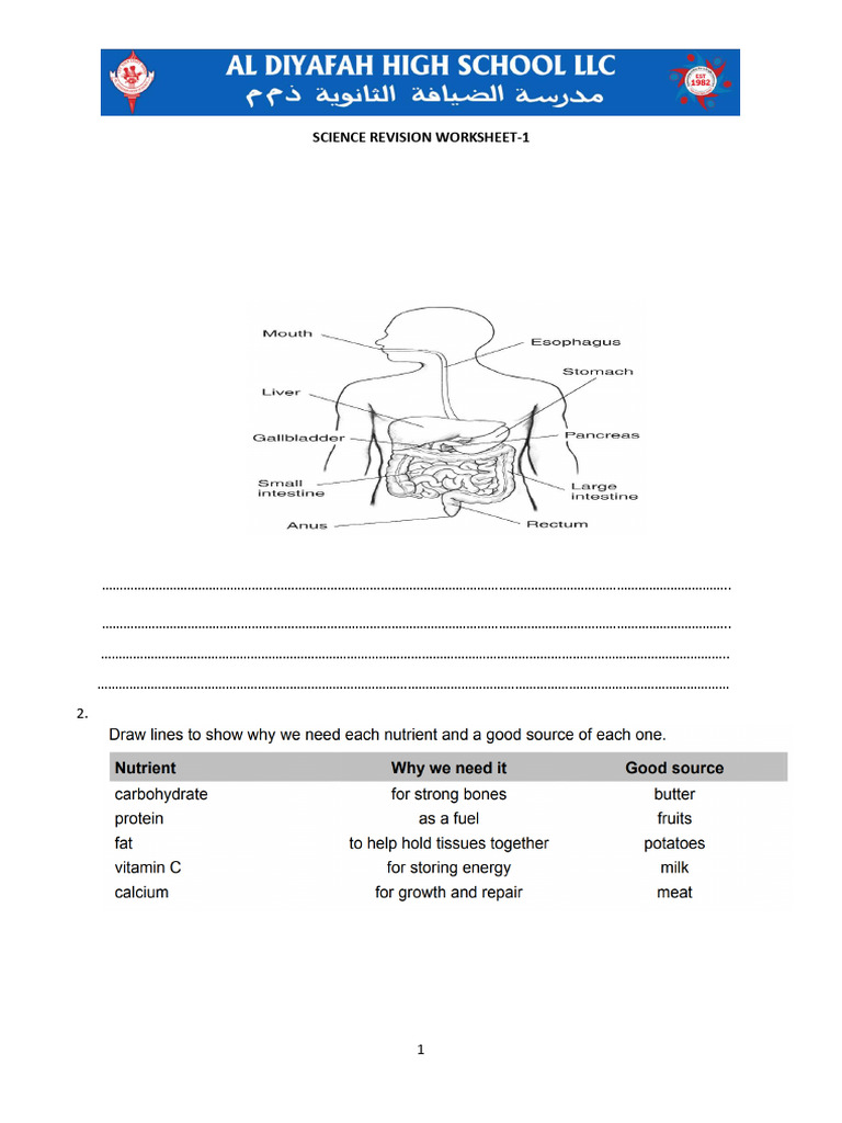 Science Revision Worksheet 1 | PDF | Chemistry