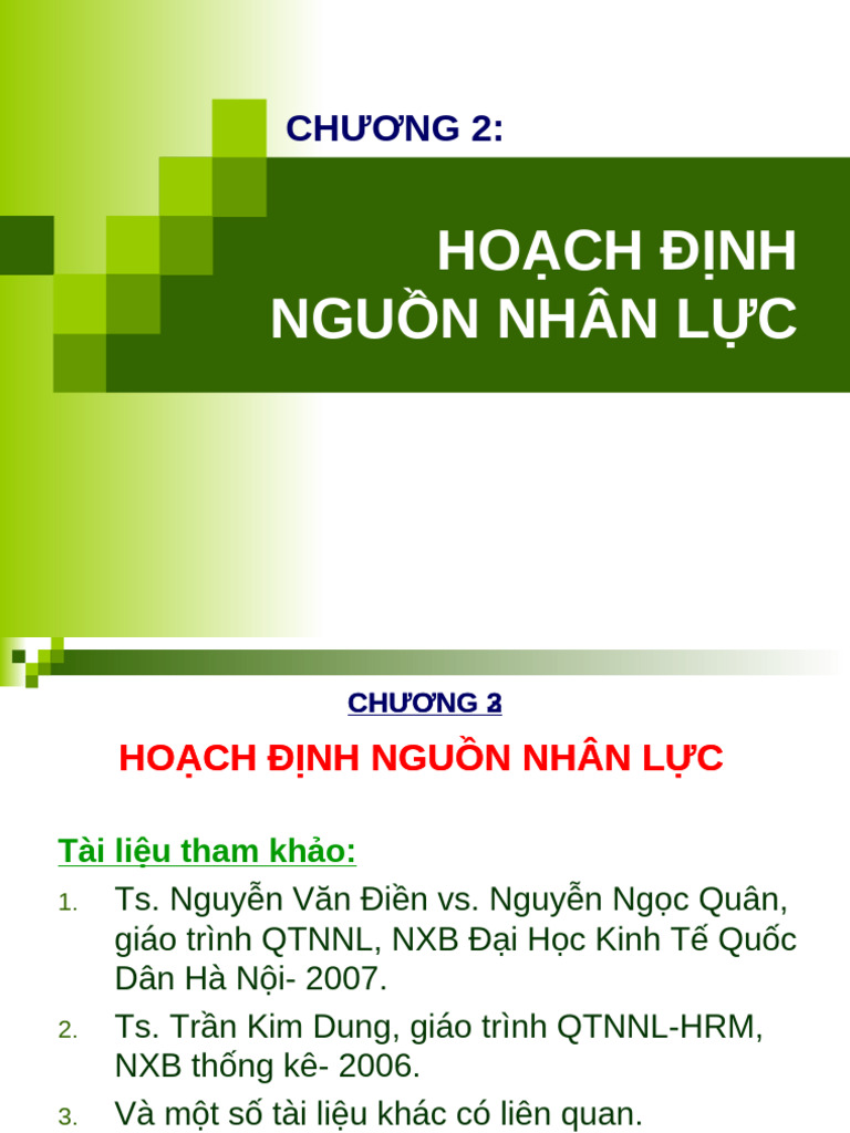 C2.hoach Dinh NNL | PDF