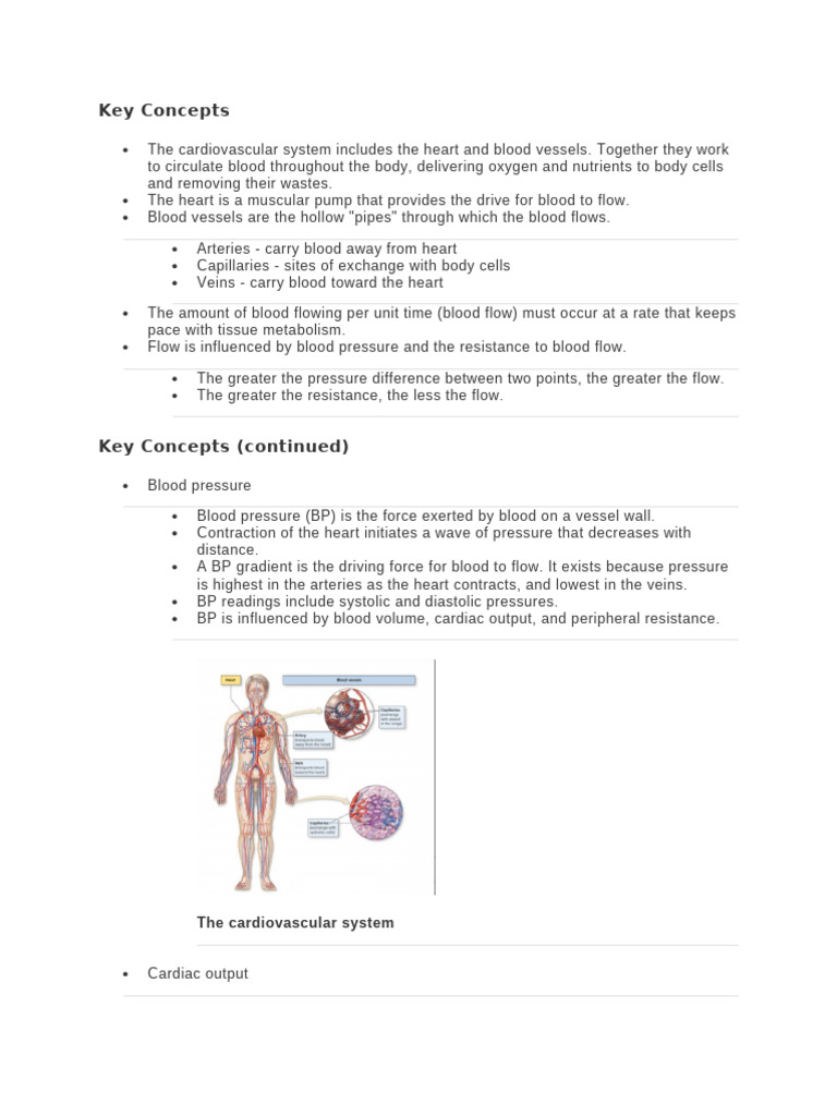 Understanding Cardiovascular Function | PDF | Heart | Blood Pressure