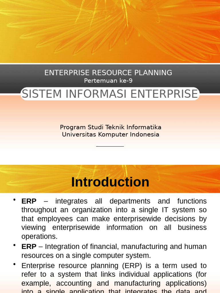 Sie (Erp) | PDF | Enterprise Resource Planning | Supply Chain Management