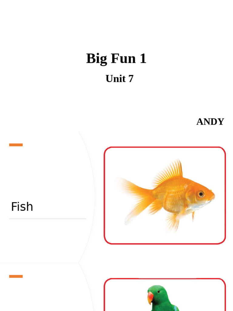 Big Fun 1 Unit 7 | PDF