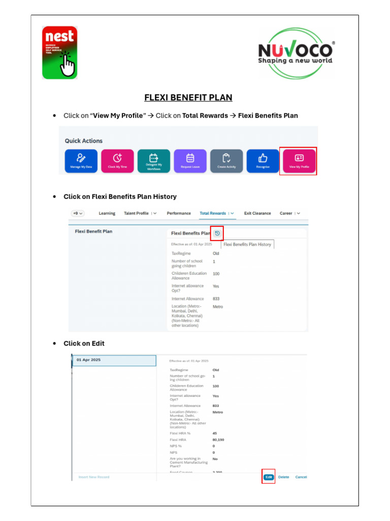 Flexi Benefit Plan Overview and Options | PDF