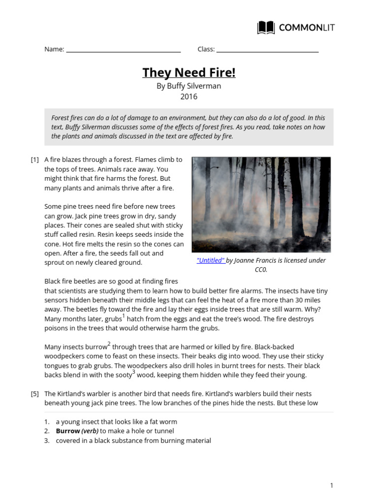 Benefits of Forest Fires for Wildlife | PDF | Trees | Fires