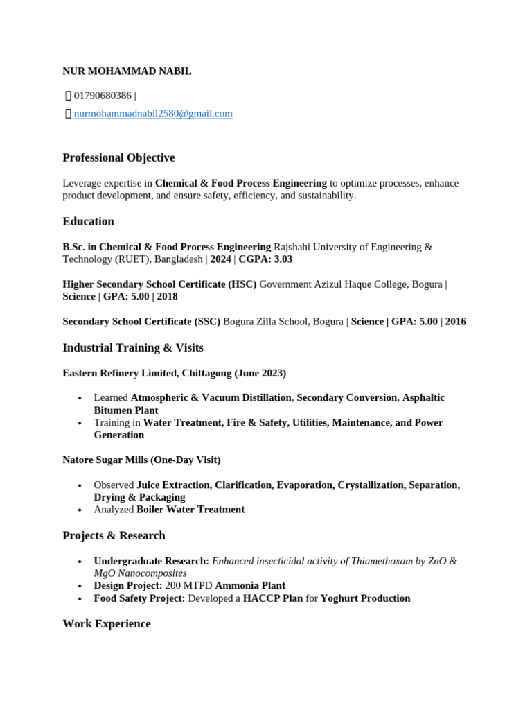 Copilot Nabil Cv | PDF