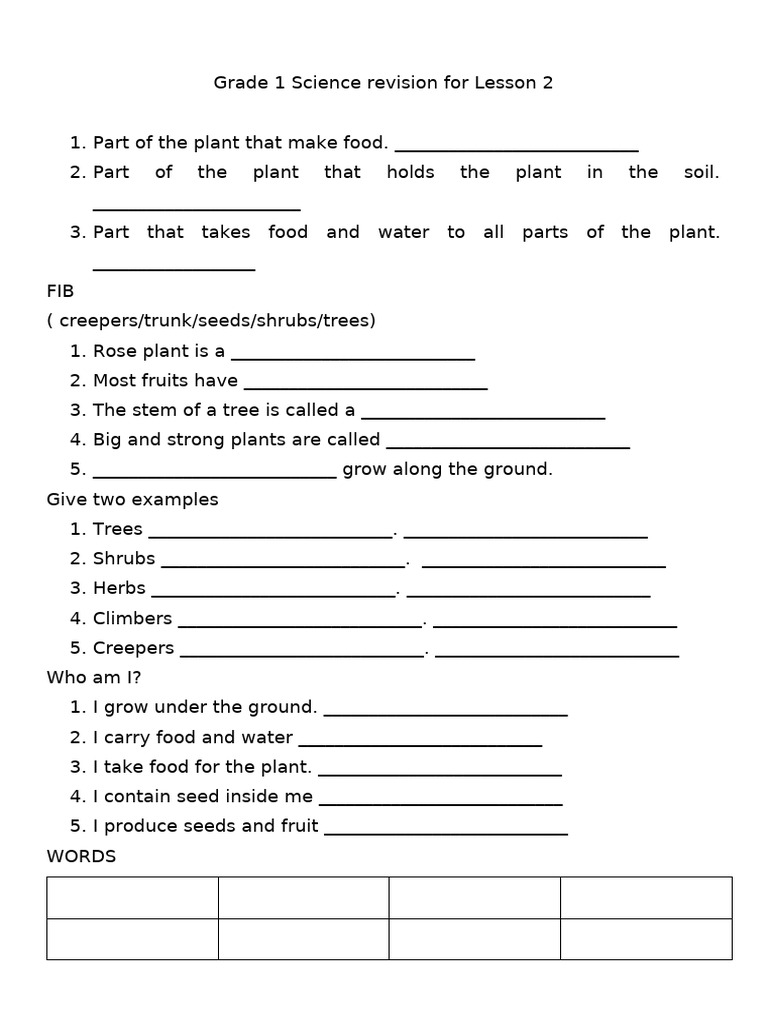 Grade 1 Science Revision For Lesson 2 | PDF