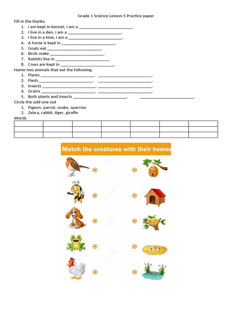 Grade 1 Science Lesson 5 Practice Paper | PDF