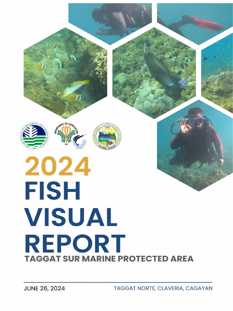 Taggat Norte Mpa - FVC Report - 2024 | PDF | Natural Environment ...