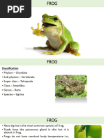 Class XI Morphology and Anatomy of Frog | PDF | Digestion ...