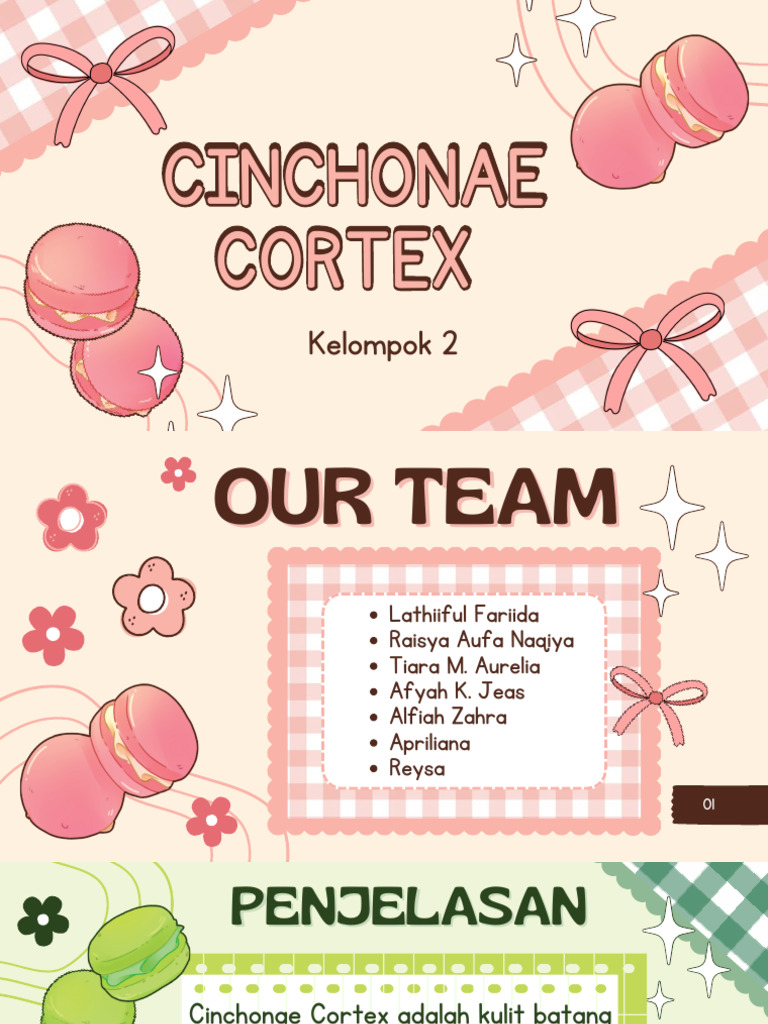Cinchonae Cortex DDTF Farmakognosi | PDF