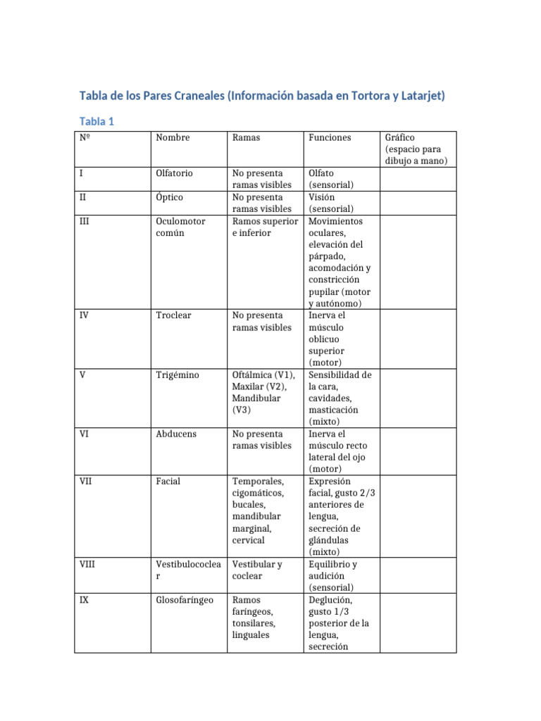 Funciones de los Pares Craneales | PDF | Lengua | Nervio vago