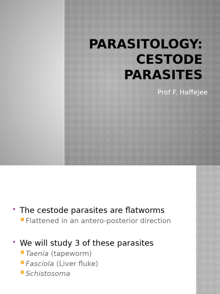Flatworms | PDF | Microbiology | Diseases And Disorders