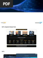 Master - Guide - SAP ECTR 5.2 | PDF | Documentation | Information