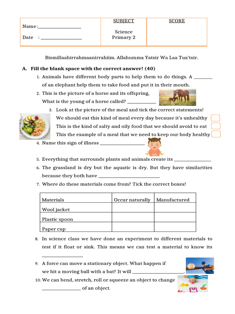 (G2) Science Final Test Smt1 2024 | PDF