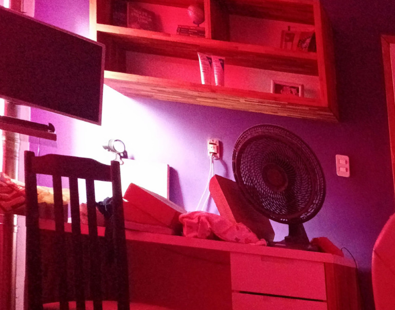 Digitalizado 20250609-0833 | PDF