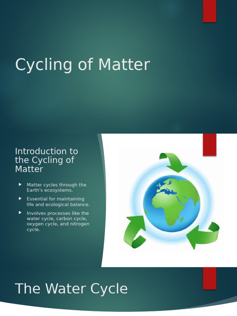 Cycling of Matter | PDF | Photosynthesis | Ecosystem