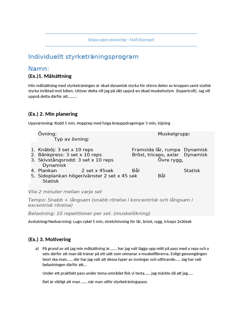 Mall Individuell Planering Och Begrepp Till Prov | PDF