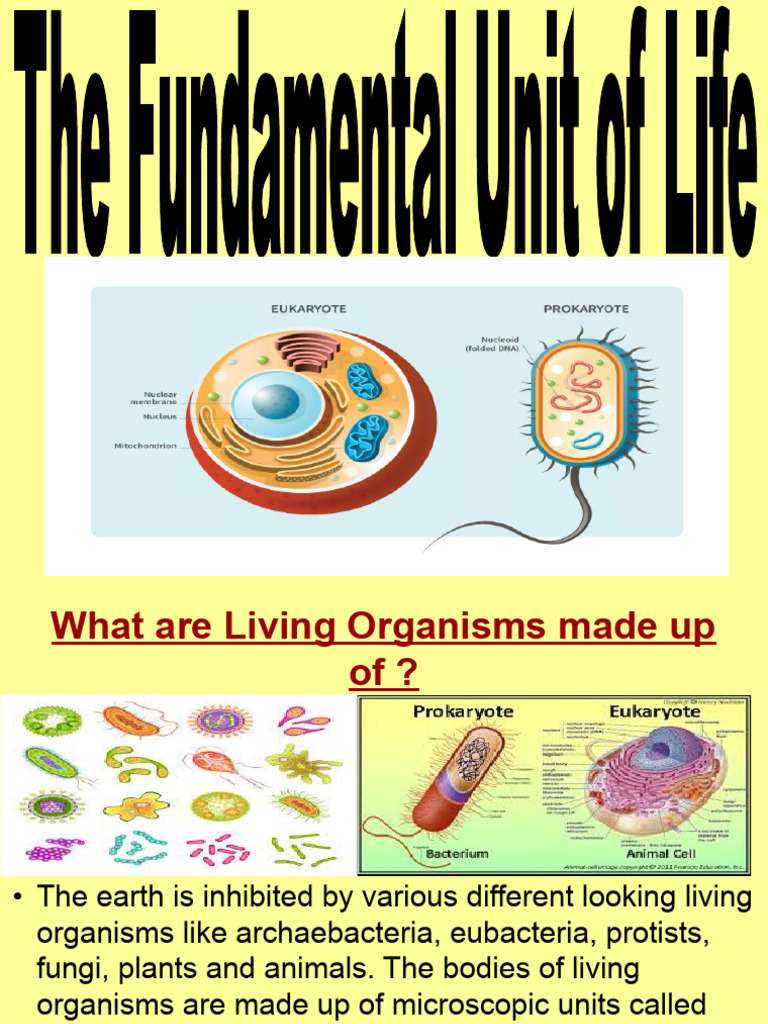 The Fundamental Unit of Life | PDF | Cell (Biology) | Endoplasmic Reticulum