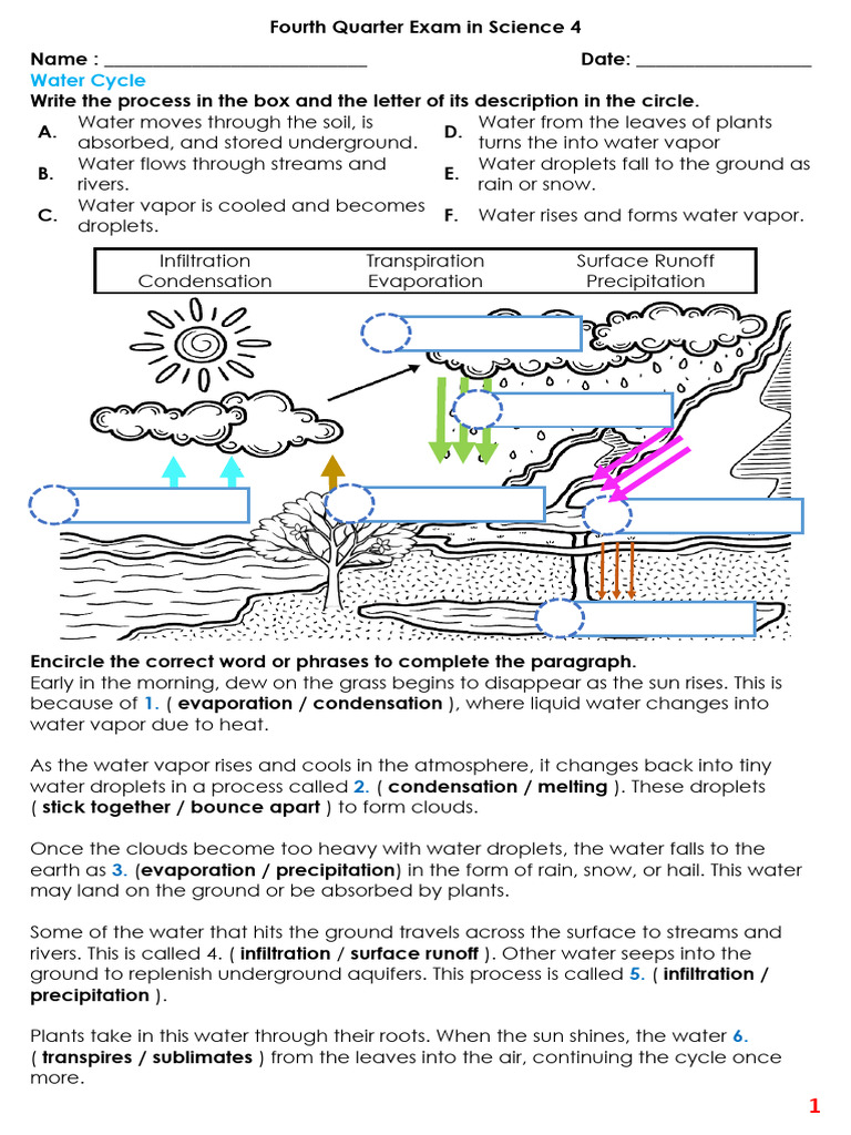 Water Cycle and Soil Science Exam | PDF | Sun | Water Cycle