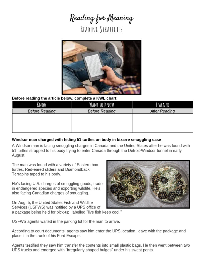 1.3b Reading For Meaning Assignment | PDF | Smuggling