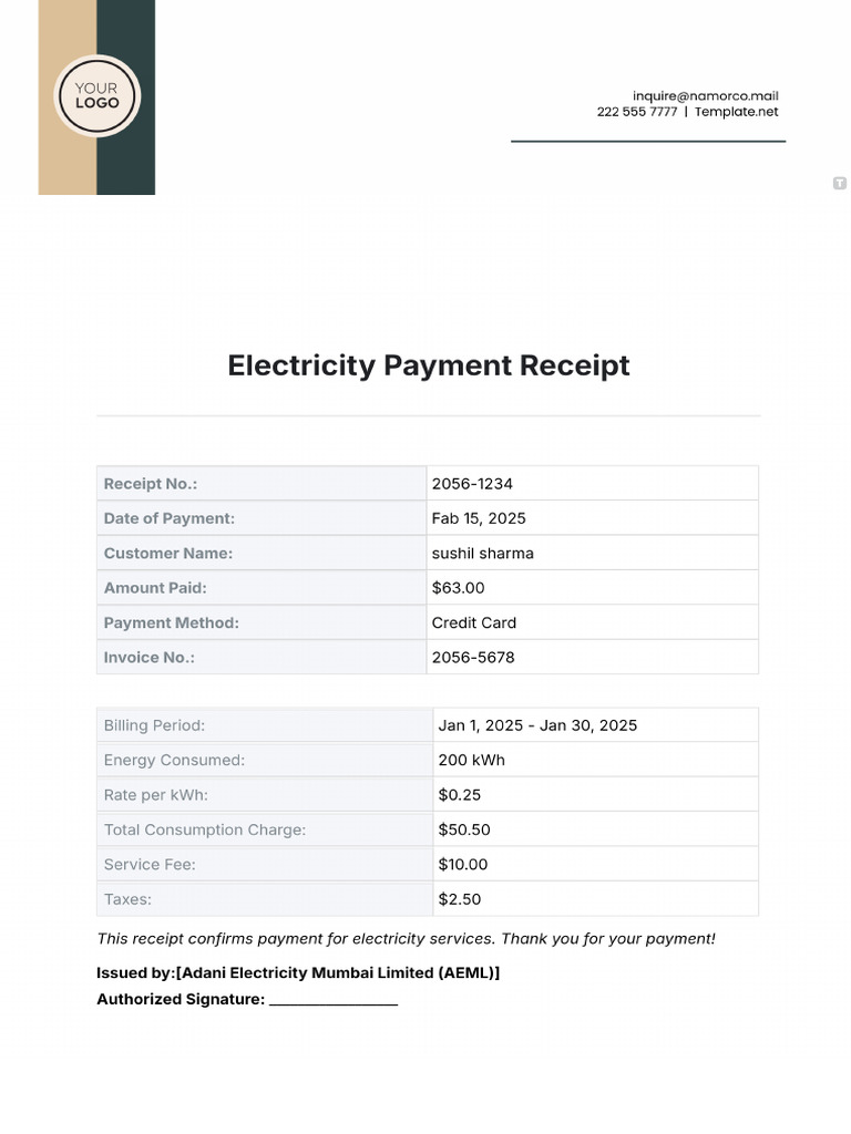Electricity Payment Receipt Template | PDF