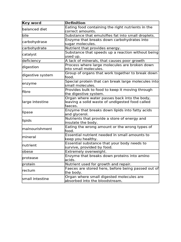 Diet and Digestion Key Words (1) | PDF