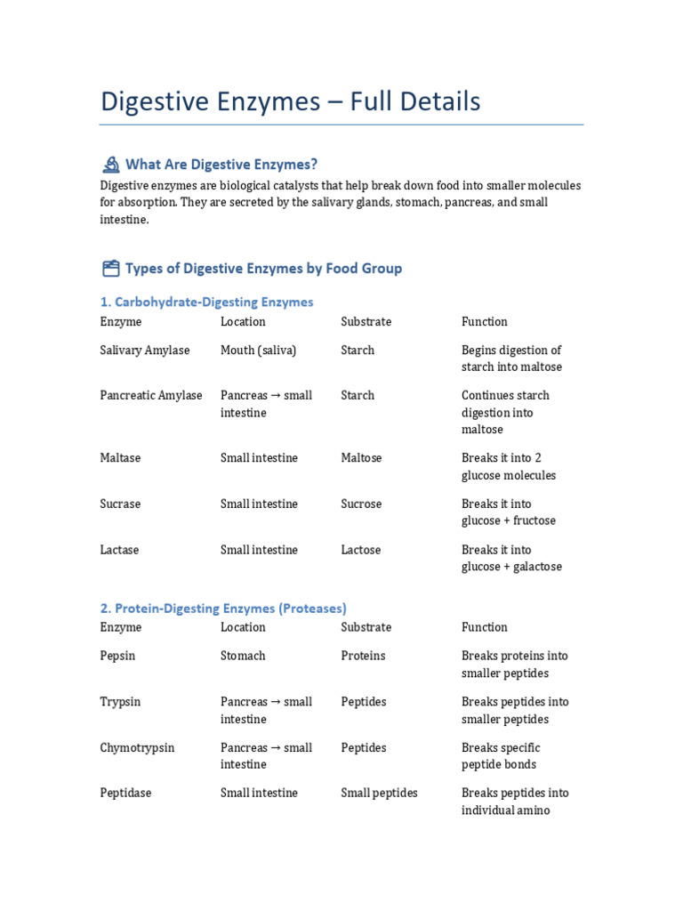 Digestive Enzymes Explanation | PDF | Digestion | Enzyme