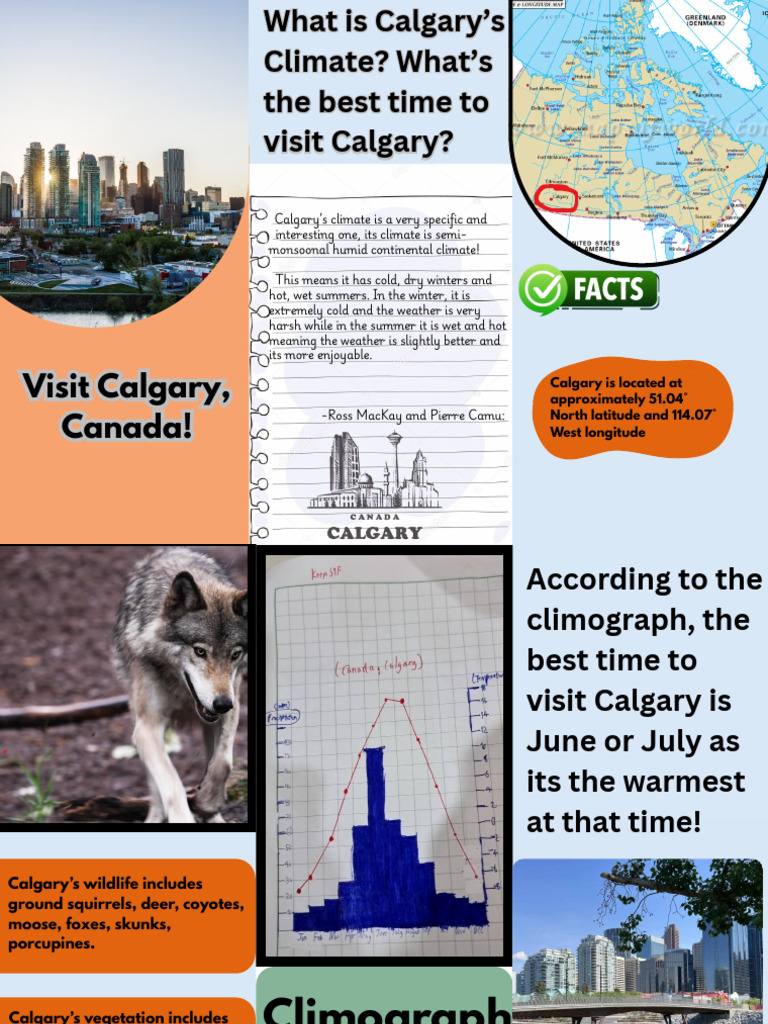 Geography Brochure | PDF