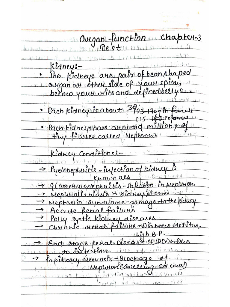 Organ Function Test | PDF