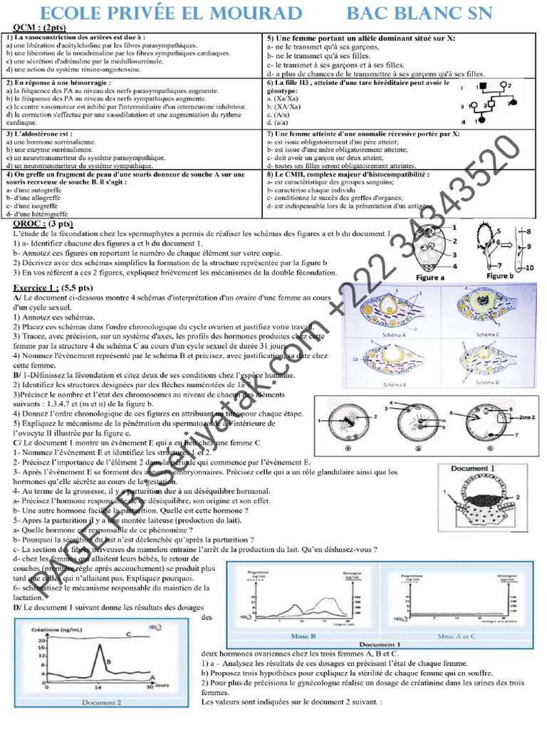 Bac Blanc SN 7d E.P El Mourad 2024-2025 | PDF