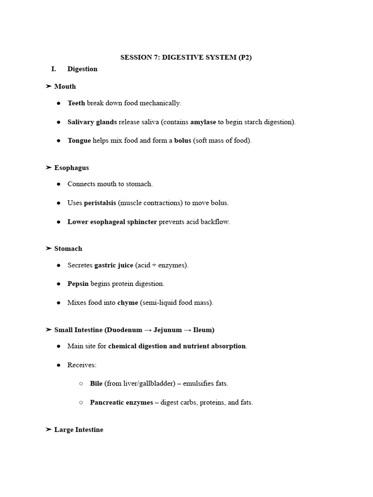 Handout Medical Class | PDF | Digestion | Gastrointestinal Tract
