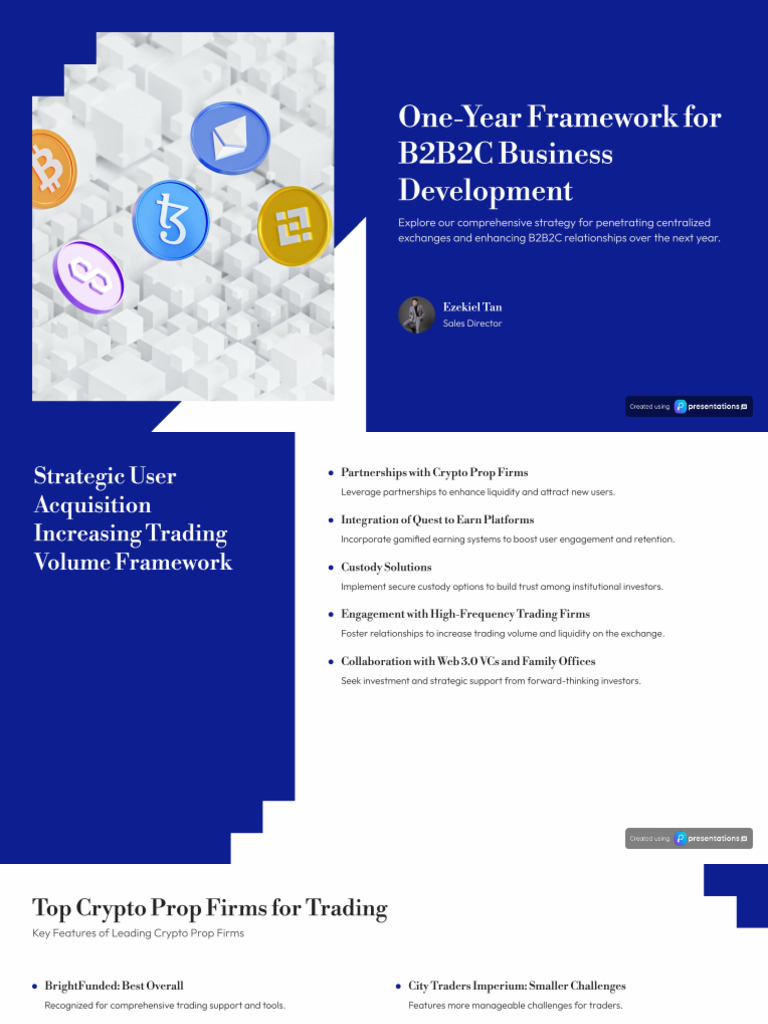 One-Year Framework For B2B2C Business Development | PDF