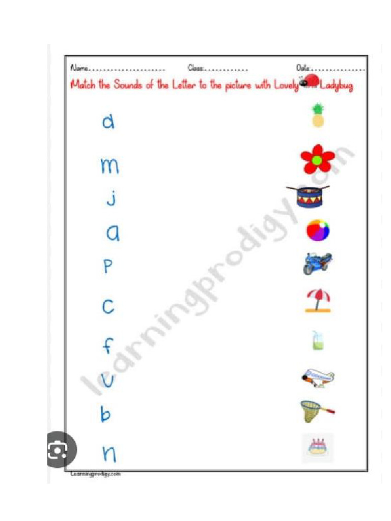 Ecde Training | PDF