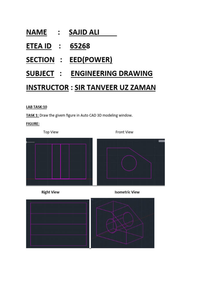 Sajid Ali 10 A | PDF
