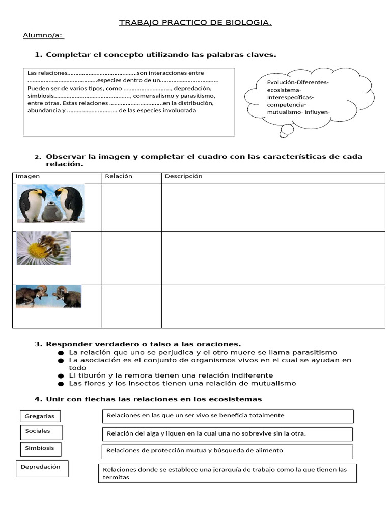 Eval Bio 2025 1° B - Adaptación Arian Romero | PDF