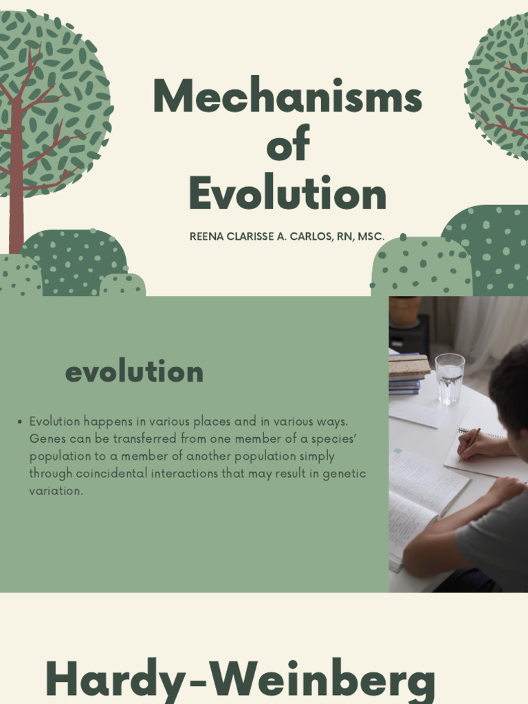 Week 5. Mechanisms of Evolution | PDF | Genetics | Mutation