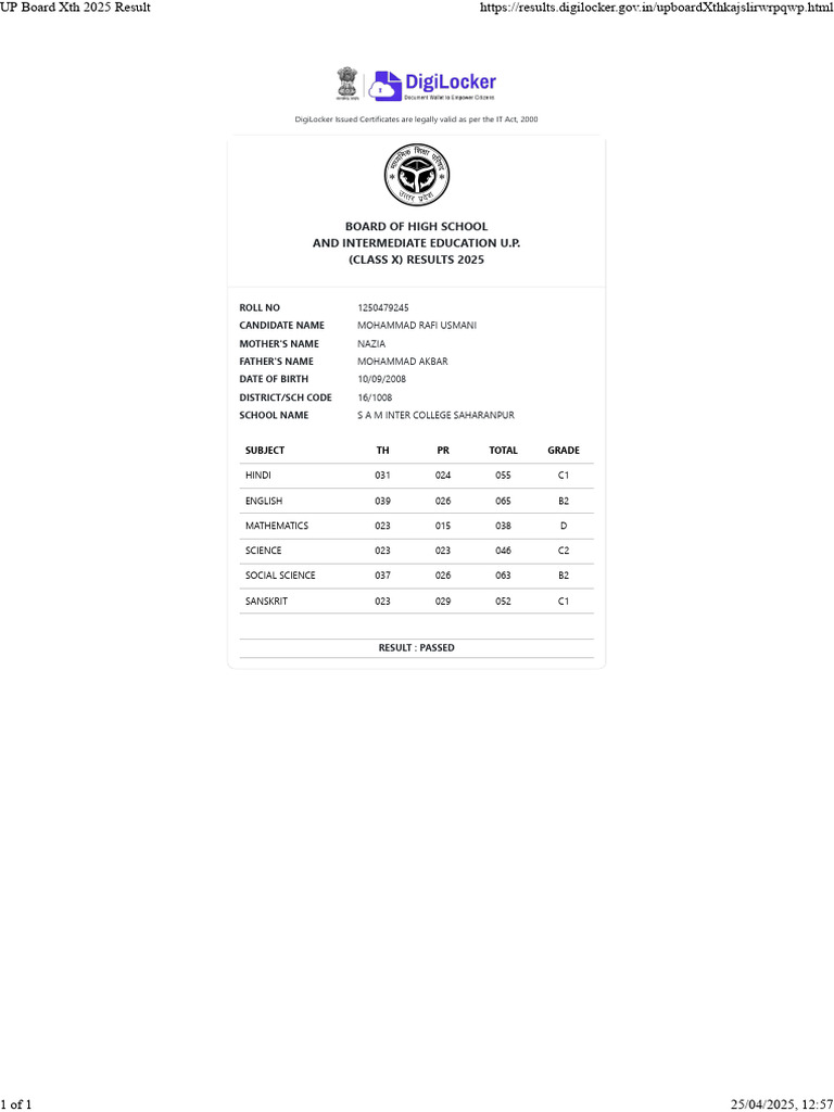 RAFIUP Board Xth 2025 Result | PDF