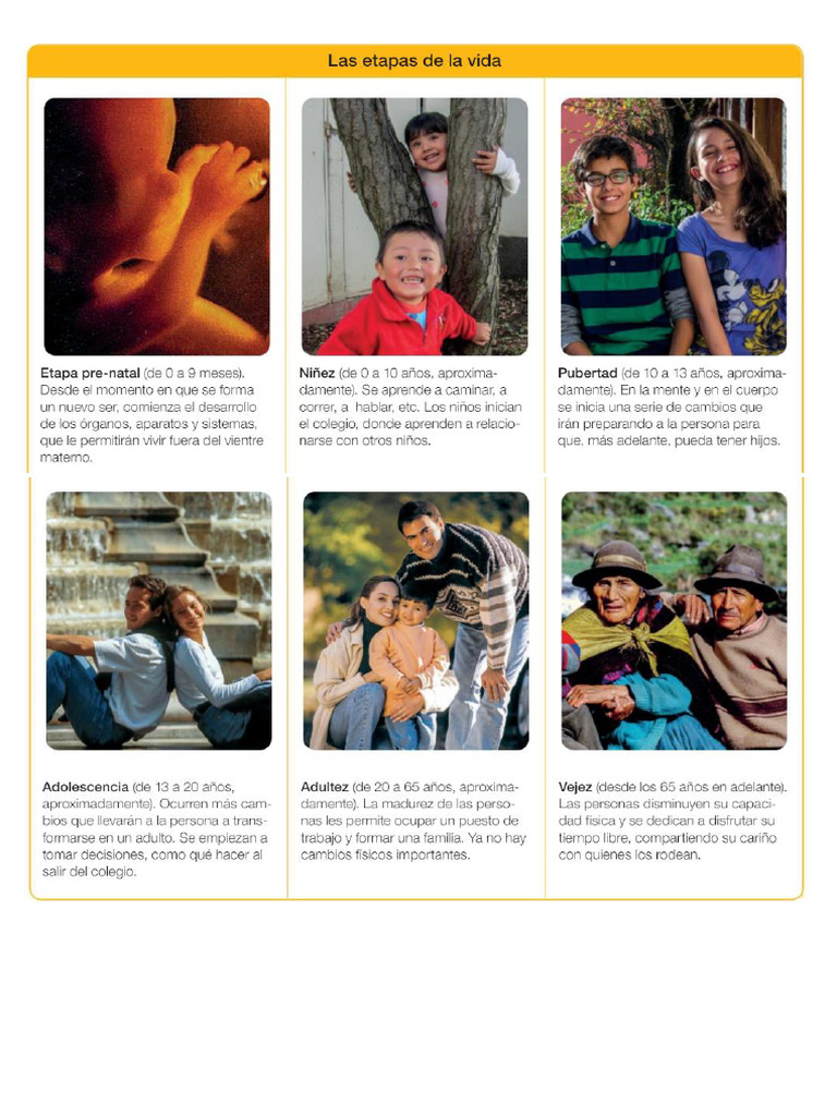 Etapas de La Vida | PDF